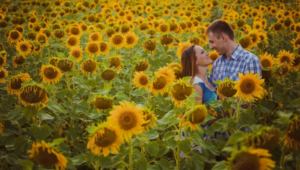 ADULT 13yrs+ Ticket – Sunshine Fields